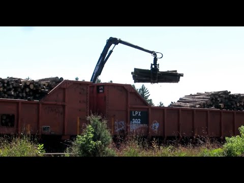 WHERE DOES ALL THIS WOOD ON TRAINS COME FROM? LETS FIND OUT! | Jason Asselin