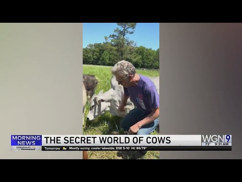 "Cowpuppy: An Unexpected Friendship and a Scientist’s Journey into the Secret World of Cows"