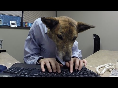 Take Your Dog to Work Day! #takeyourdog