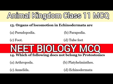 Animal Kingdom Class 11 Biology MCQ | Biology MCQ 2025 | NEET MCQ