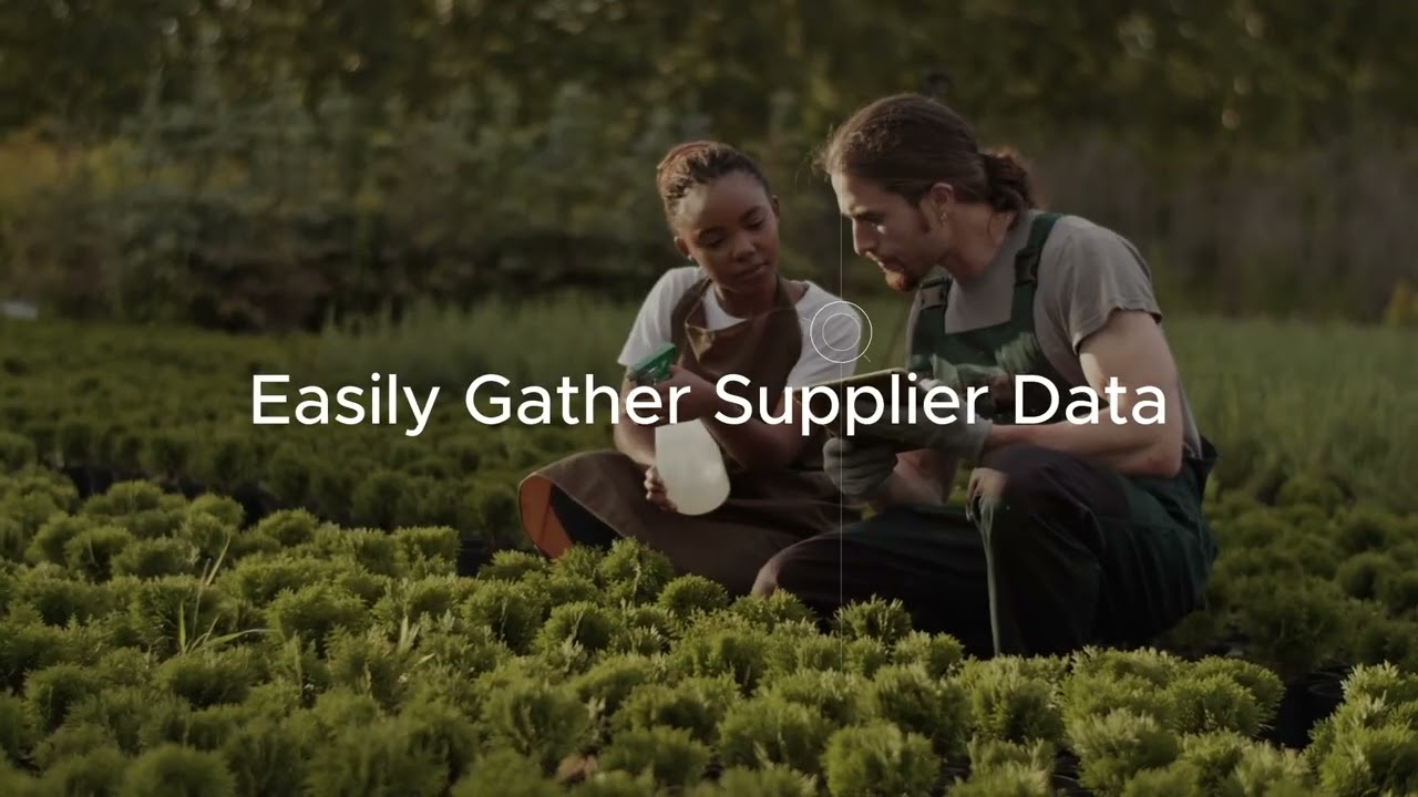 LiveEO TradeAware - The End-to-End EUDR Solution