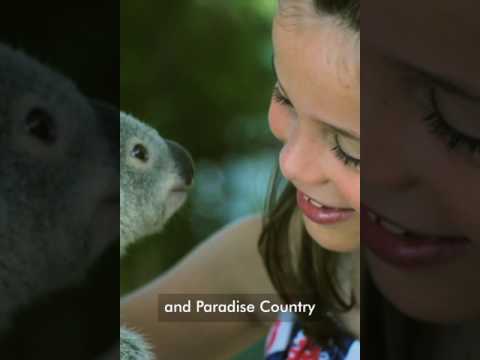 VIP Pass Theme Parks TVC