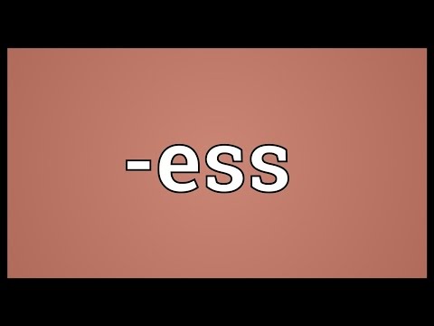 -ess Meaning