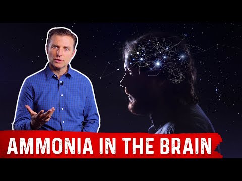 Ammonia In The Brain – Dr. Berg