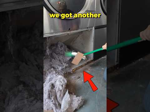 #1 🔥 Dryer Lint TREASURE!!! #followingkeenan