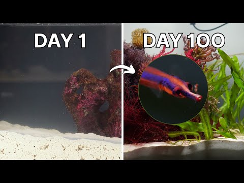 100 Days Raising the Weirdest Fish I've Ever Seen