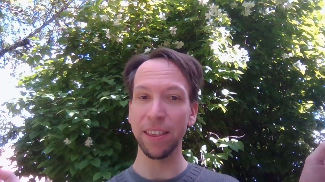 My specialties: creative translation vs precise translation