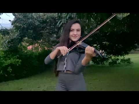 Fly me to the Moon - Violin Cover by Laura Dominí