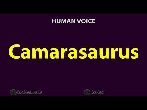 How To Pronounce Camarasaurus