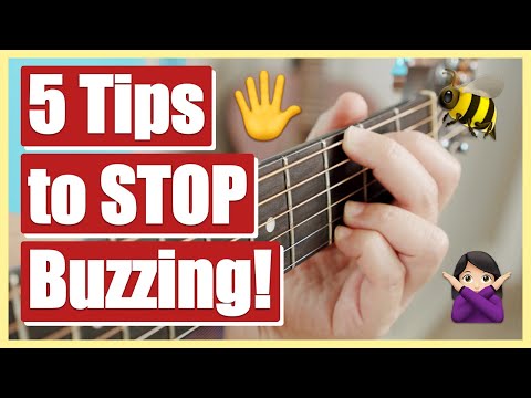 5 Tips to STOP String Buzzing on the Guitar! ????️ (for the Beginner Guitar Player)