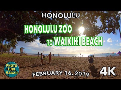 Honolulu Zoo to Waikiki Beach 2/16/2019