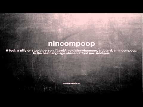 What does nincompoop mean