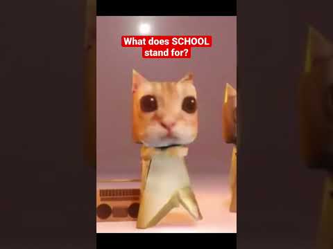 What does SCHOOL stand for?