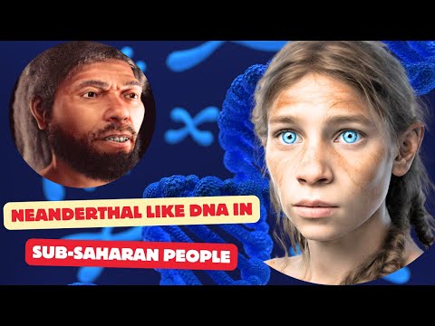 Controversial Discovery | Neanderthal DNA in Sub-Saharan African Populations