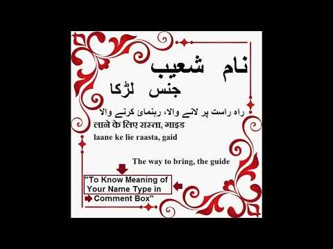 Shoaib Name Meaning in Urdu - Islamic baby names