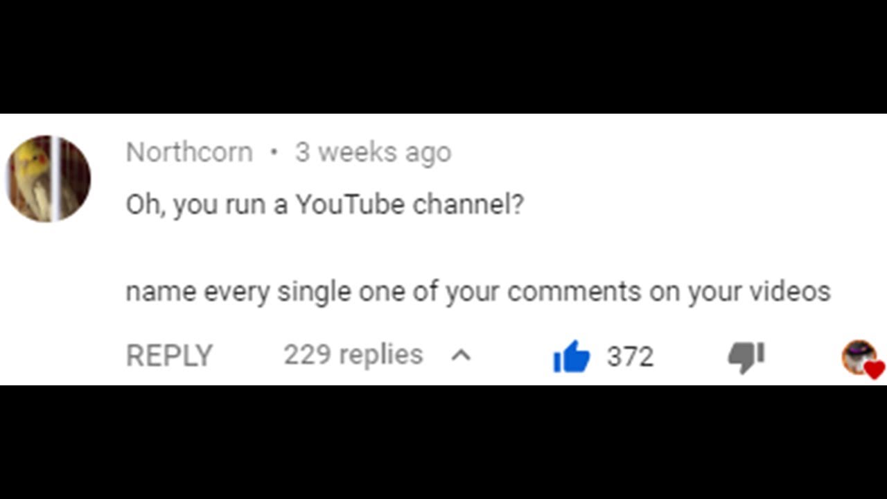 My Comment Section in a Nutshell 12