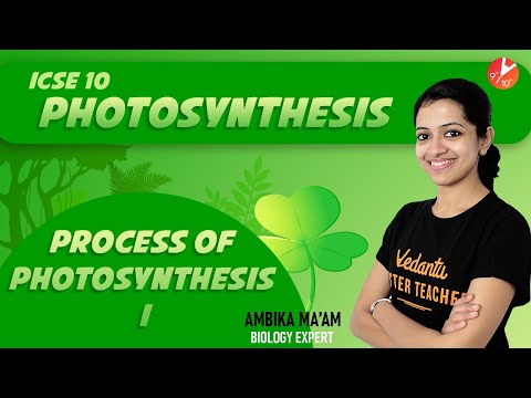 Process of PHOTOSYNTHESIS - Photosynthesis Class 10 ICSE Biology ...