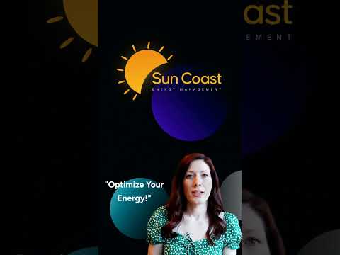 Top Energy Consulting Firms Suncoast Energy Management Copy