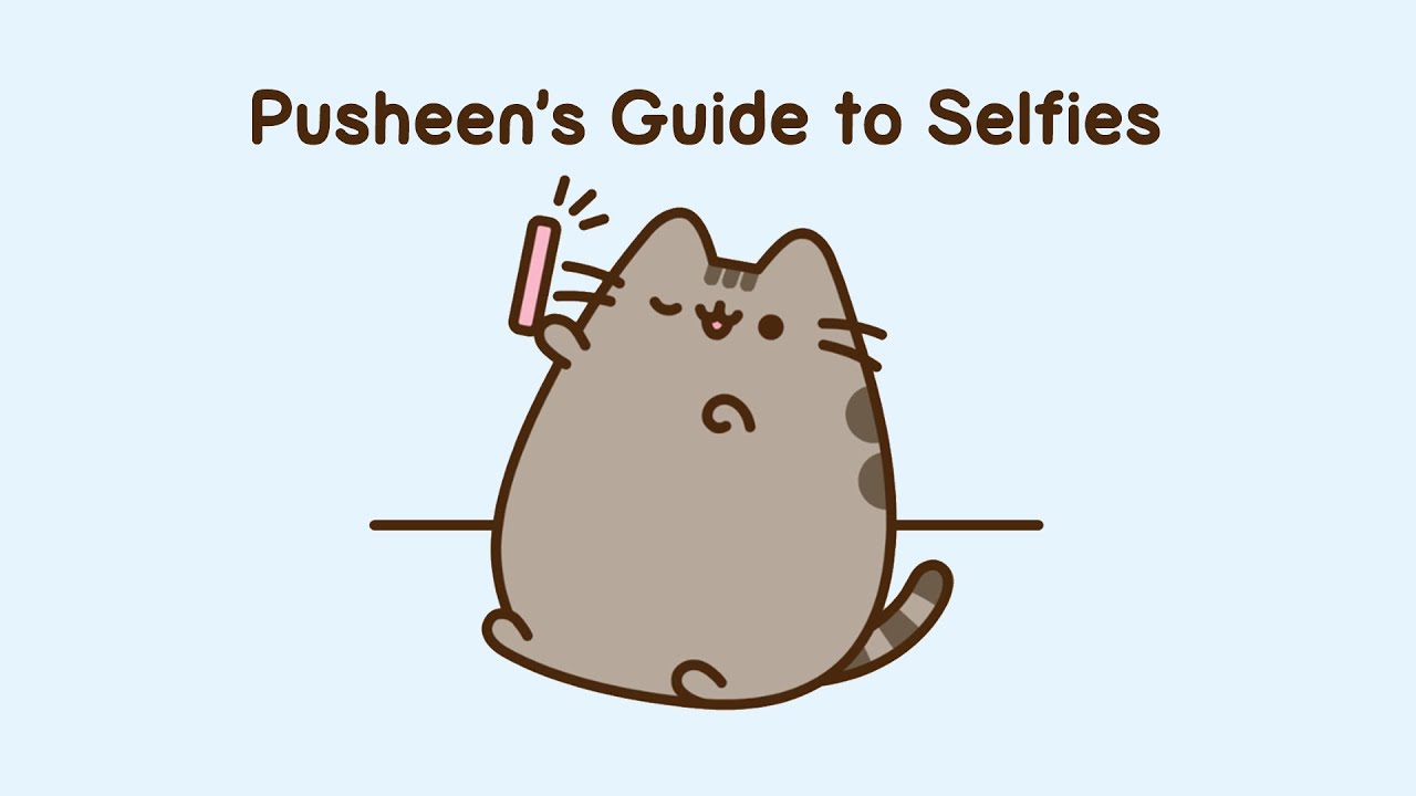 Pusheen's Guide to Selfies