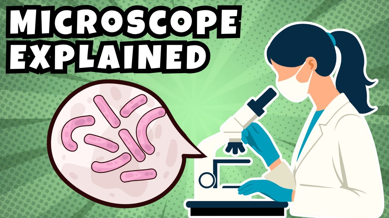 The Microscope: History, Parts, and and Proper Use