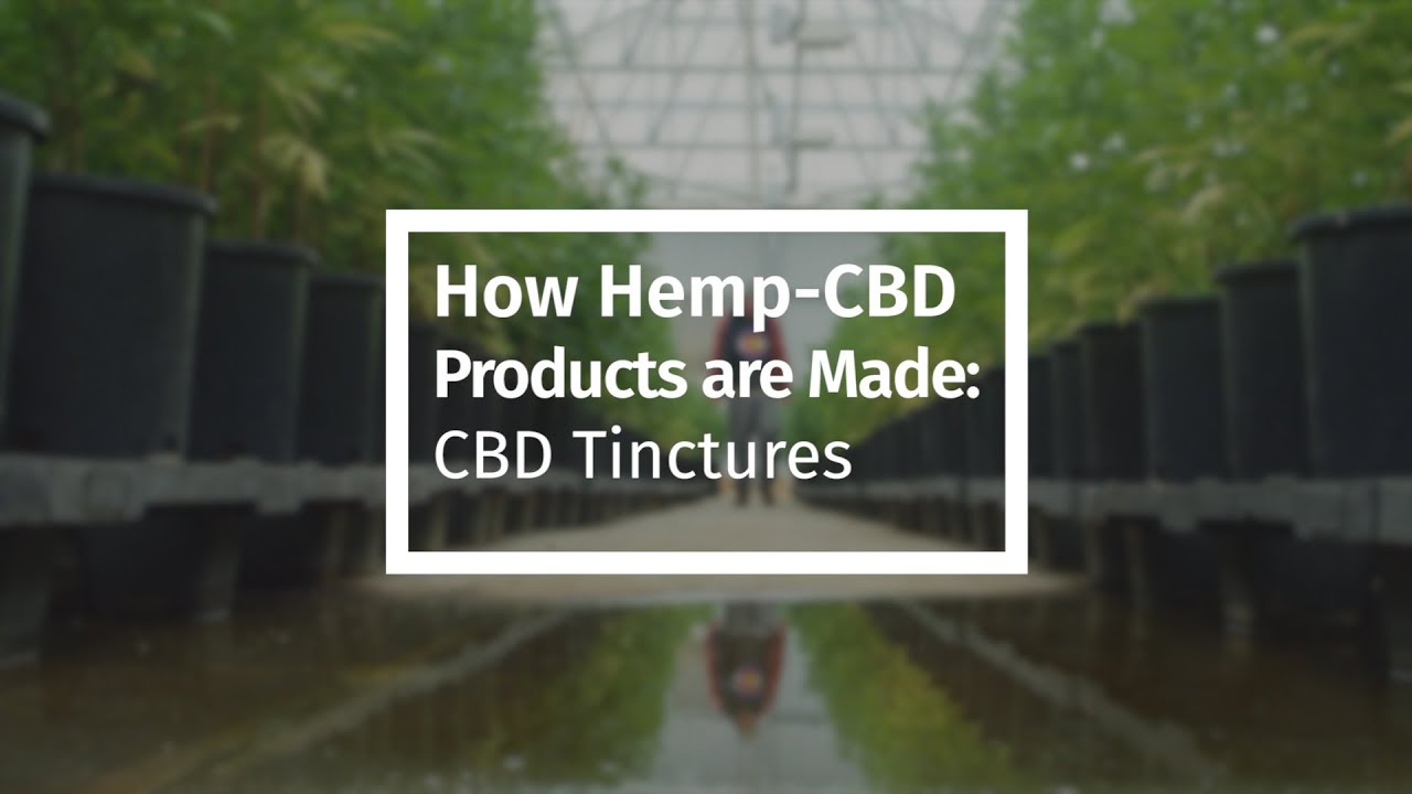 How Hemp-CBD Products are Made: CBD Tinctures