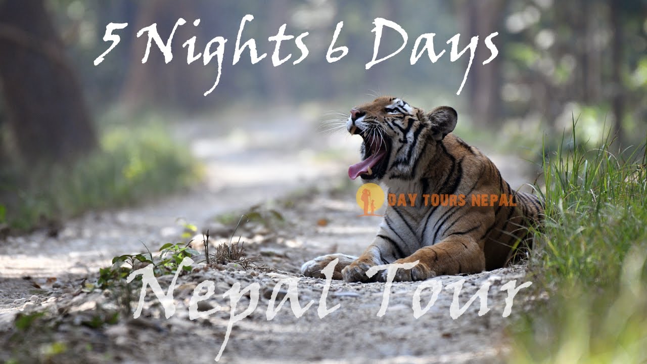 5 Nights 6 Days Nepal Tour Package covers Kathmandu, Chitwan, Pokhara, Kathmandu World Heritage.