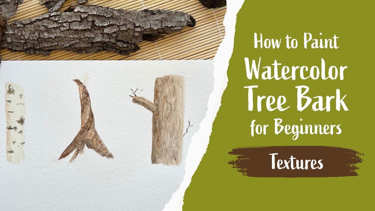How to Paint Watercolor Tree Bark for Beginners