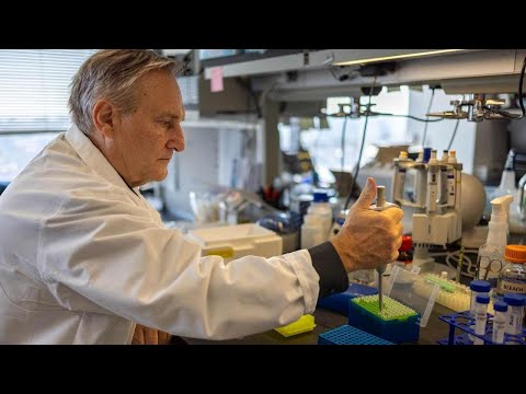 New Scientific Institute in NY to Engineer Immune Cells | CZI, Columbia, Rockefeller and Yale