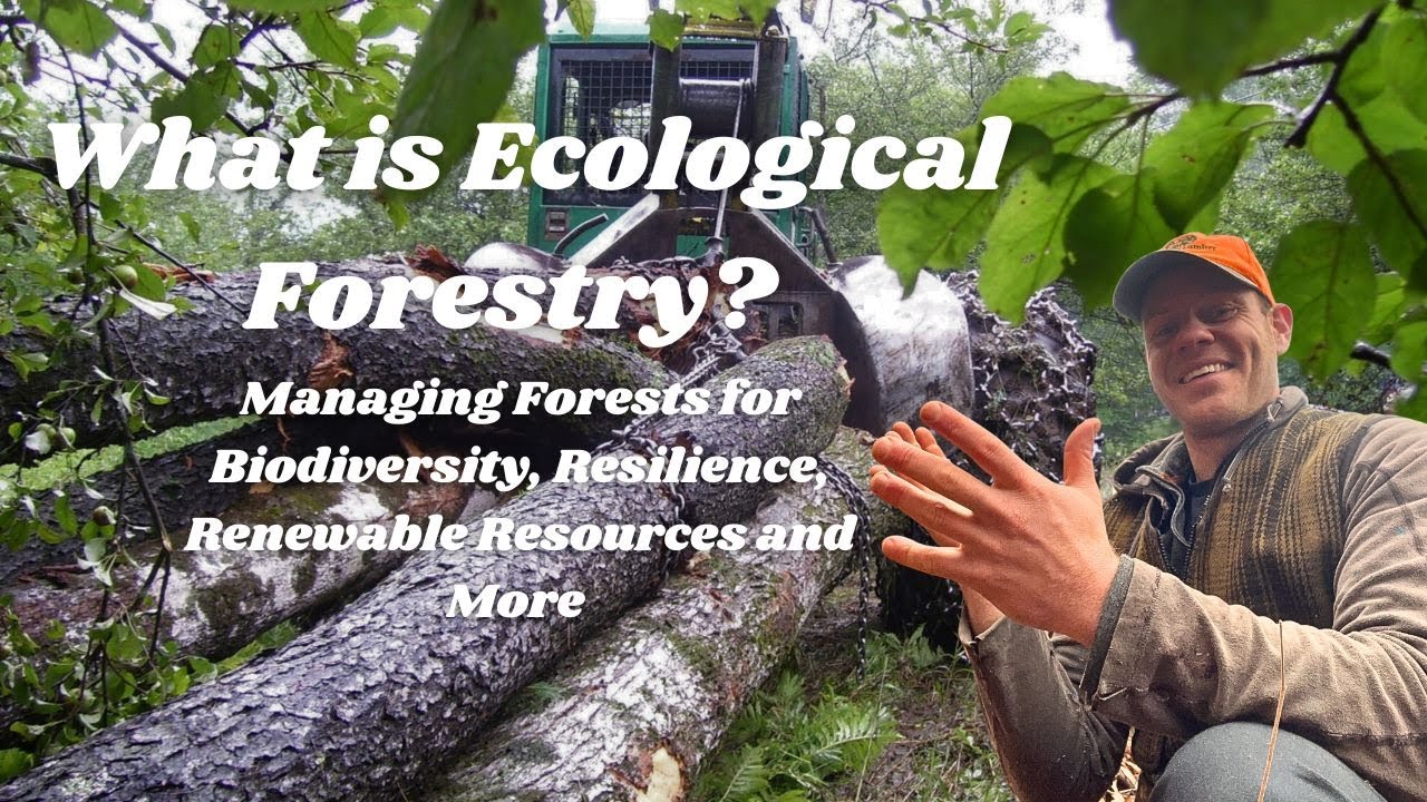 What is Ecological Forestry?