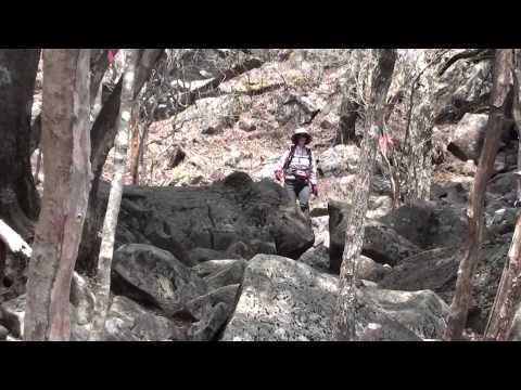 Mt. Kentoku trekking steps 26,710, yamanashi pref, japan