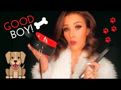 How to Train Your Human Pet | Ms. Elle X