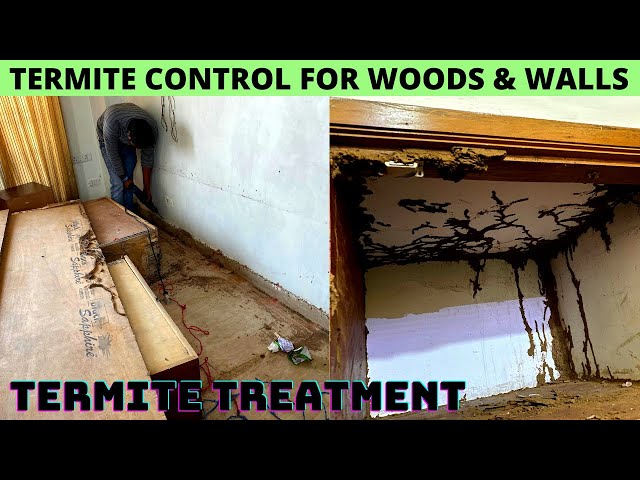 Insecticides - Koranda 505 (( Choropyriphos 50 % + Cypermethrin 5 % w/w ...