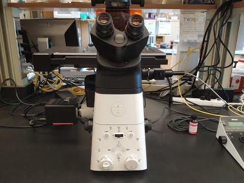 Buy Nikon Eclipse Ti2 Inverted Research Microscope Online at best price