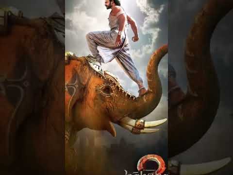 Top Five Highest Grossing Indian Movies #amanzingfacts #facts #viral #interestingfacts #funfacts