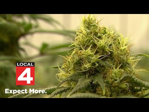 Michigan sales boom as some parents switch from alcohol to marijuana to relax