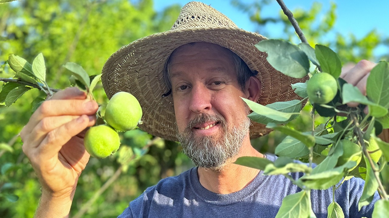 A Look at Our Southern Apple Orchards (Apples We're Testing for Lower Alabama/The Florida Panhandle)