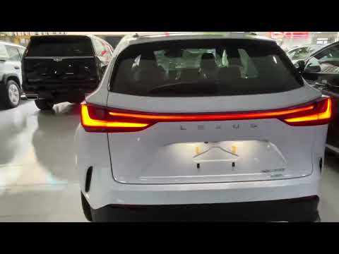 2024 New Lexus NX350 F-Sport AWD Exterior and Interior