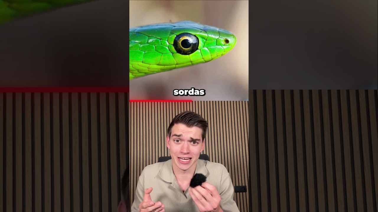 MENTIRAS de los DIBUJOS ANIMADOS