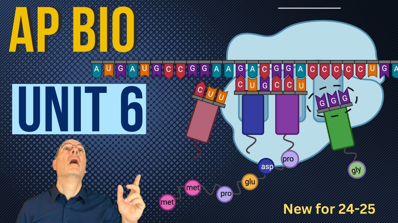 Everything You Need to Know About Gene Expression for AP Biology ...