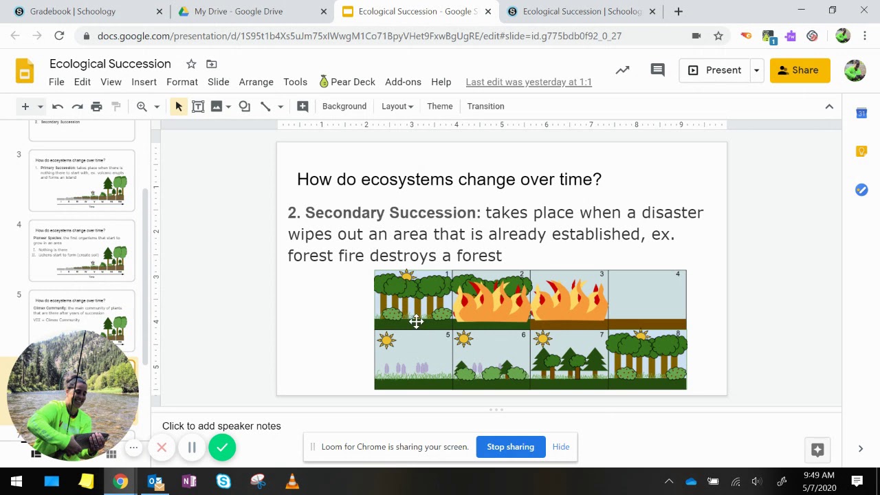 Ecological Succession   Google Slides