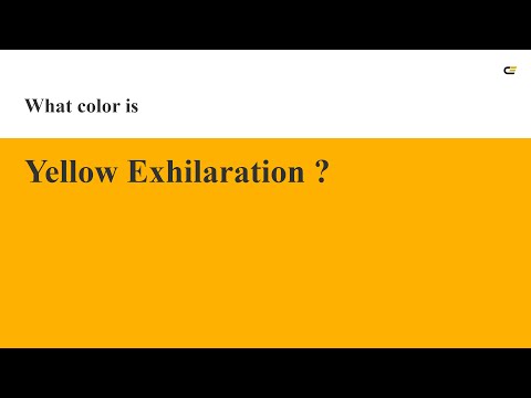 Yellow Exhilaration color #ffb102 hex color - Yellow color - Cool color ffb102