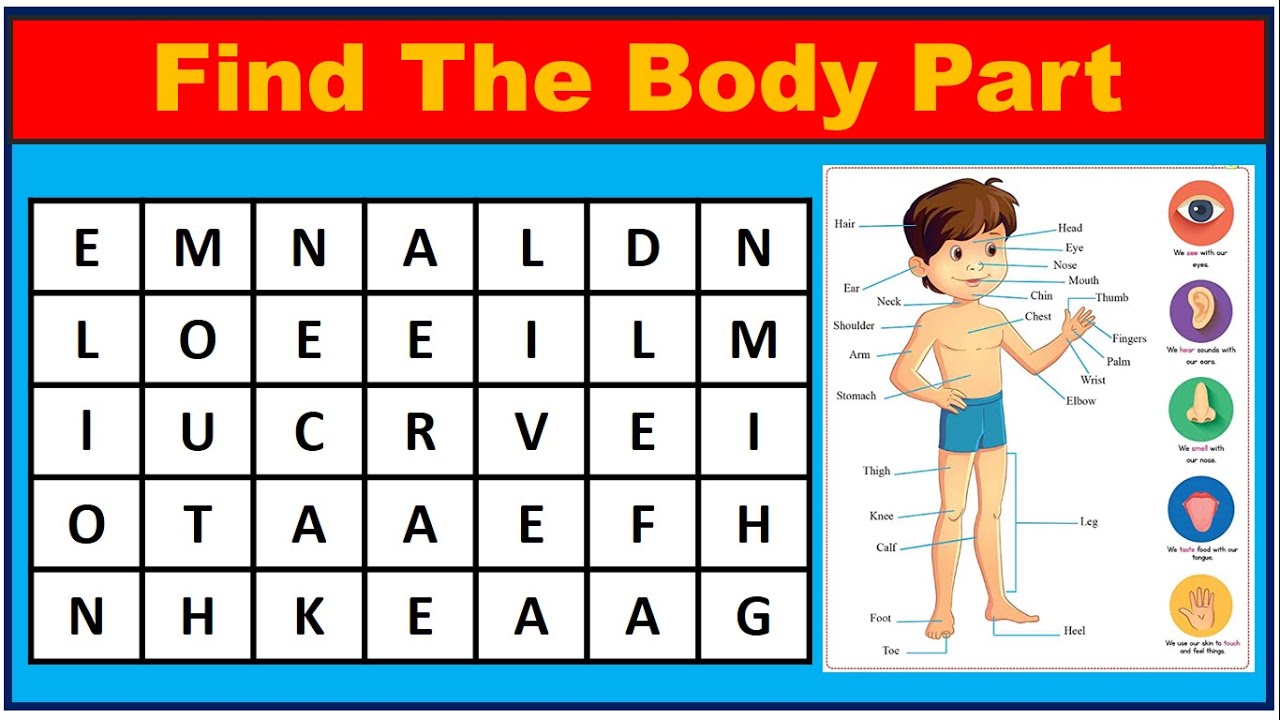 WordSearch-01|Body Parts|Find the Hidden words|Brain Teaser|Searching Puzzle|TrickyQuestions