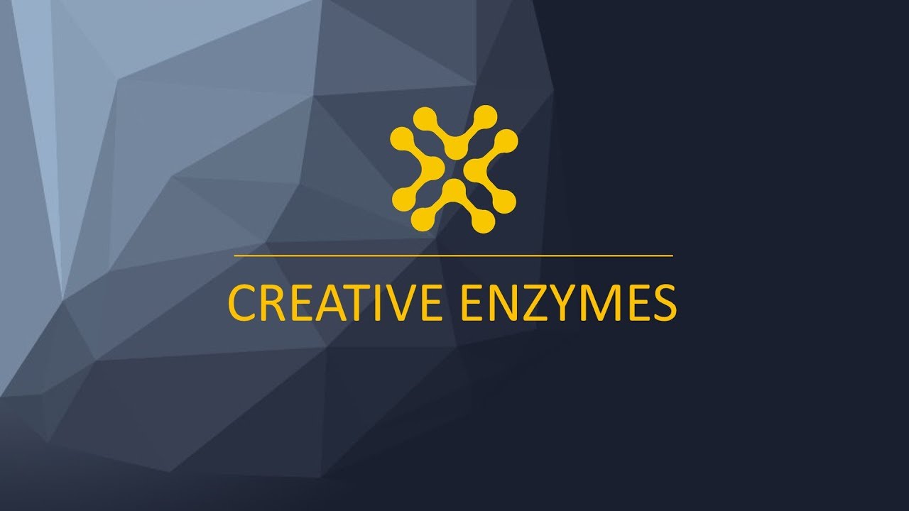 Creative Enzymes Introduction