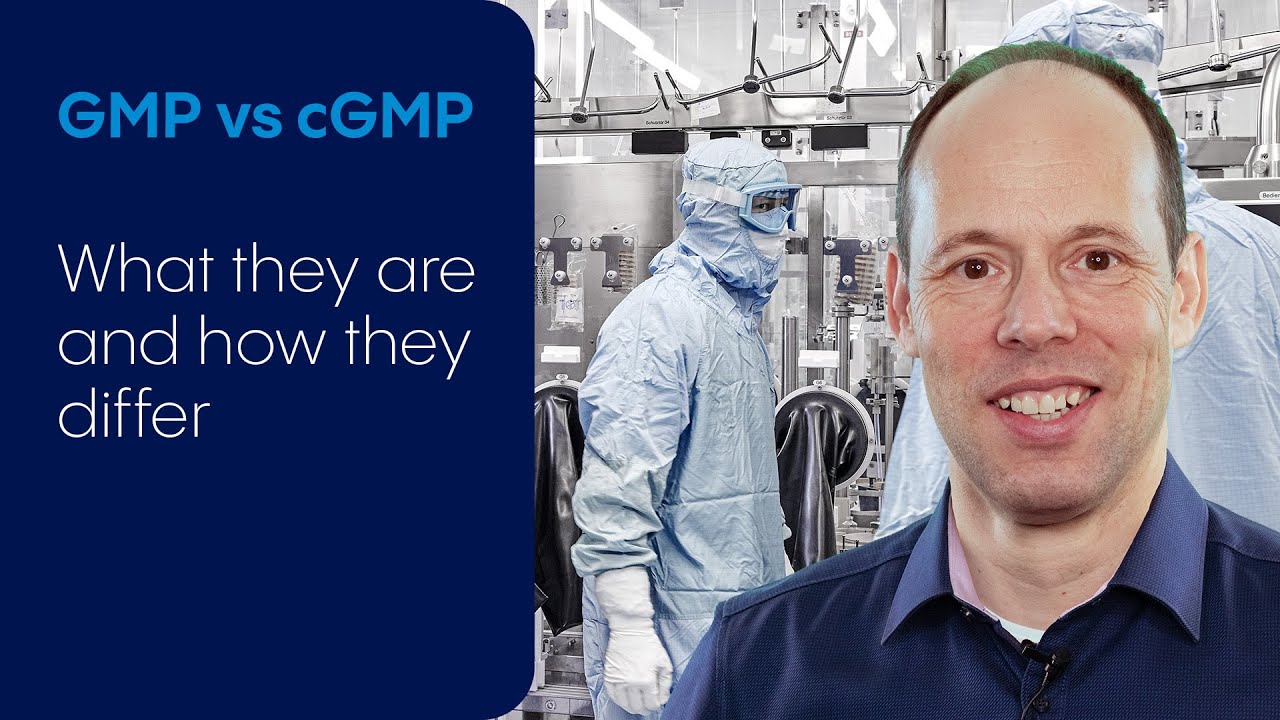 GMP vs cGMP: What they are and how they differ