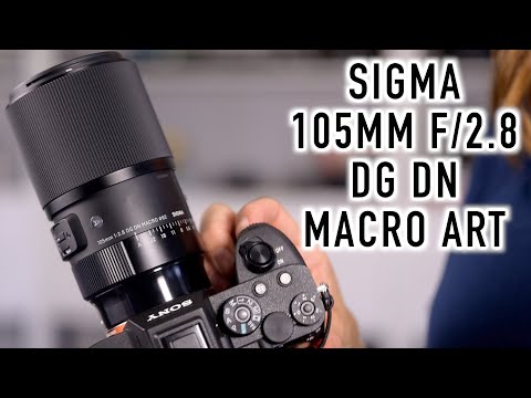 Sigma 105mm f/2.8 DG DN Art: More than just macro lens (260965)