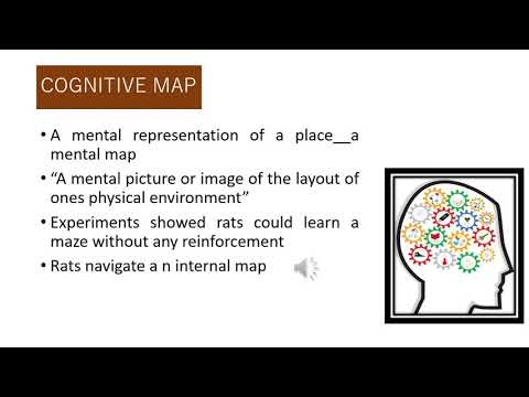 ZOOL1112 - Lecture 19 - Latent Learning and Insight Learning