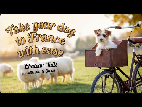 Take your dog to France with ease