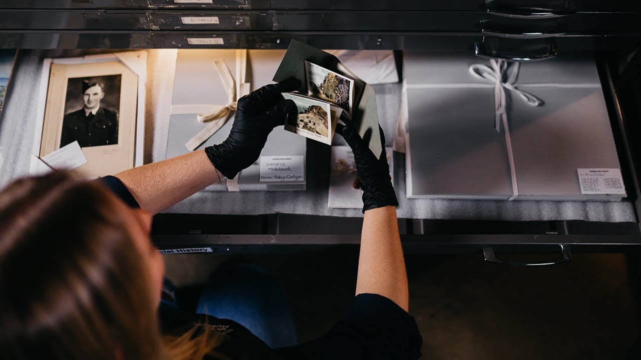 Collection Management at Museum of Tropical Queensland