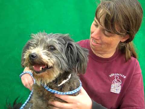 Sue A4361287 RESCUED!!!
