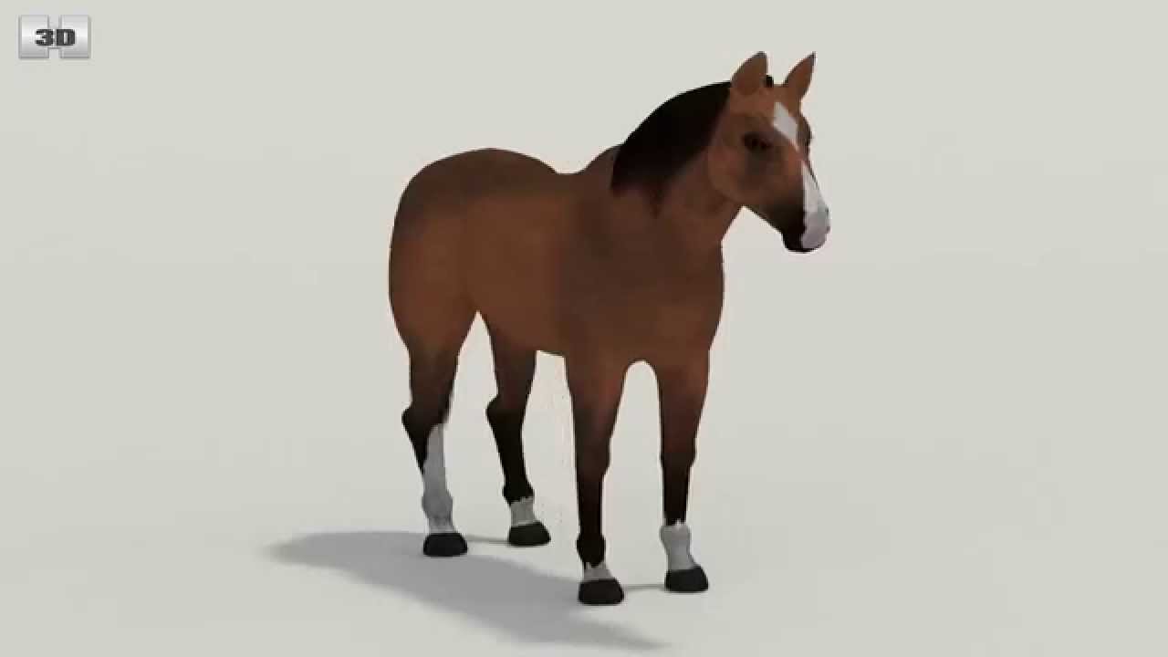 Thoroughbred Low Poly 3D model by 3DModels.org